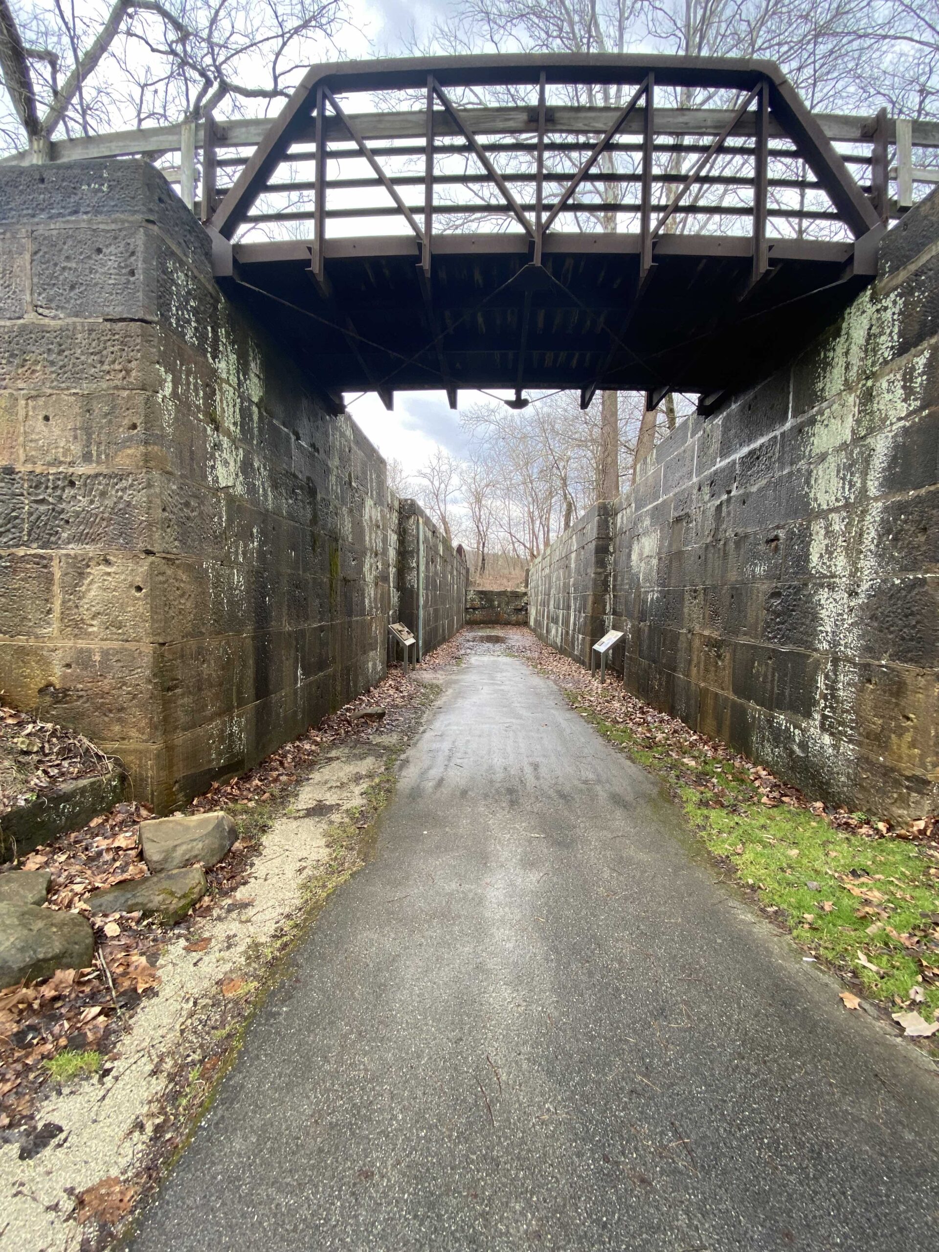 Exploring the Canal - Annie Taylor